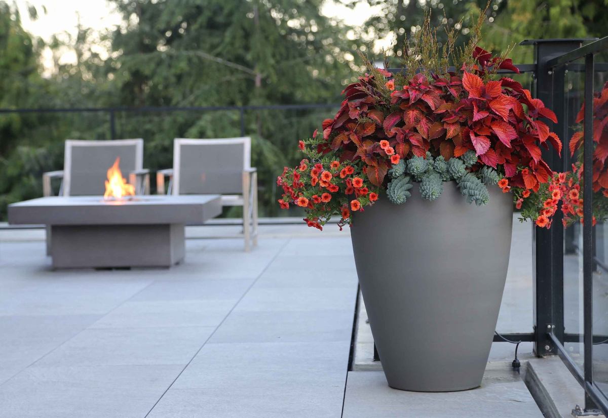 King Of Containers: Pot Incorporated – Far Out Flora